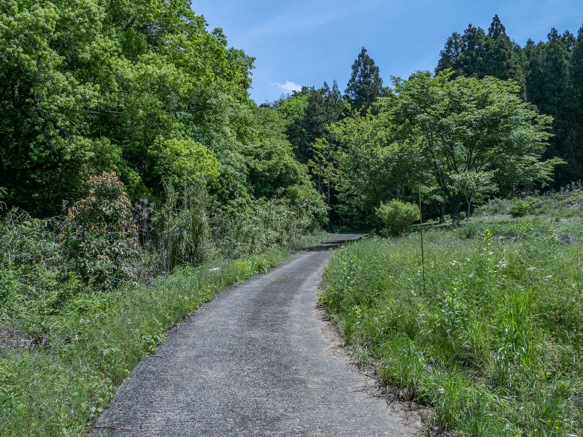 【観音霊場】白羽町の清水寺｜常陸太田市【天志良波神社】 | 茨城の寺社巡りなら「茨城見聞録」